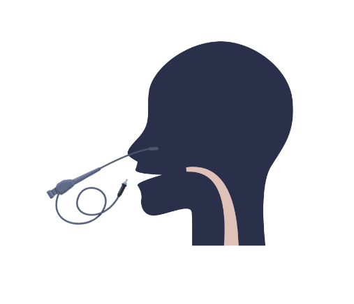 Madison Speech Therapy